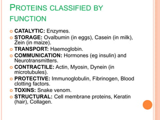 Functional Protein Structure