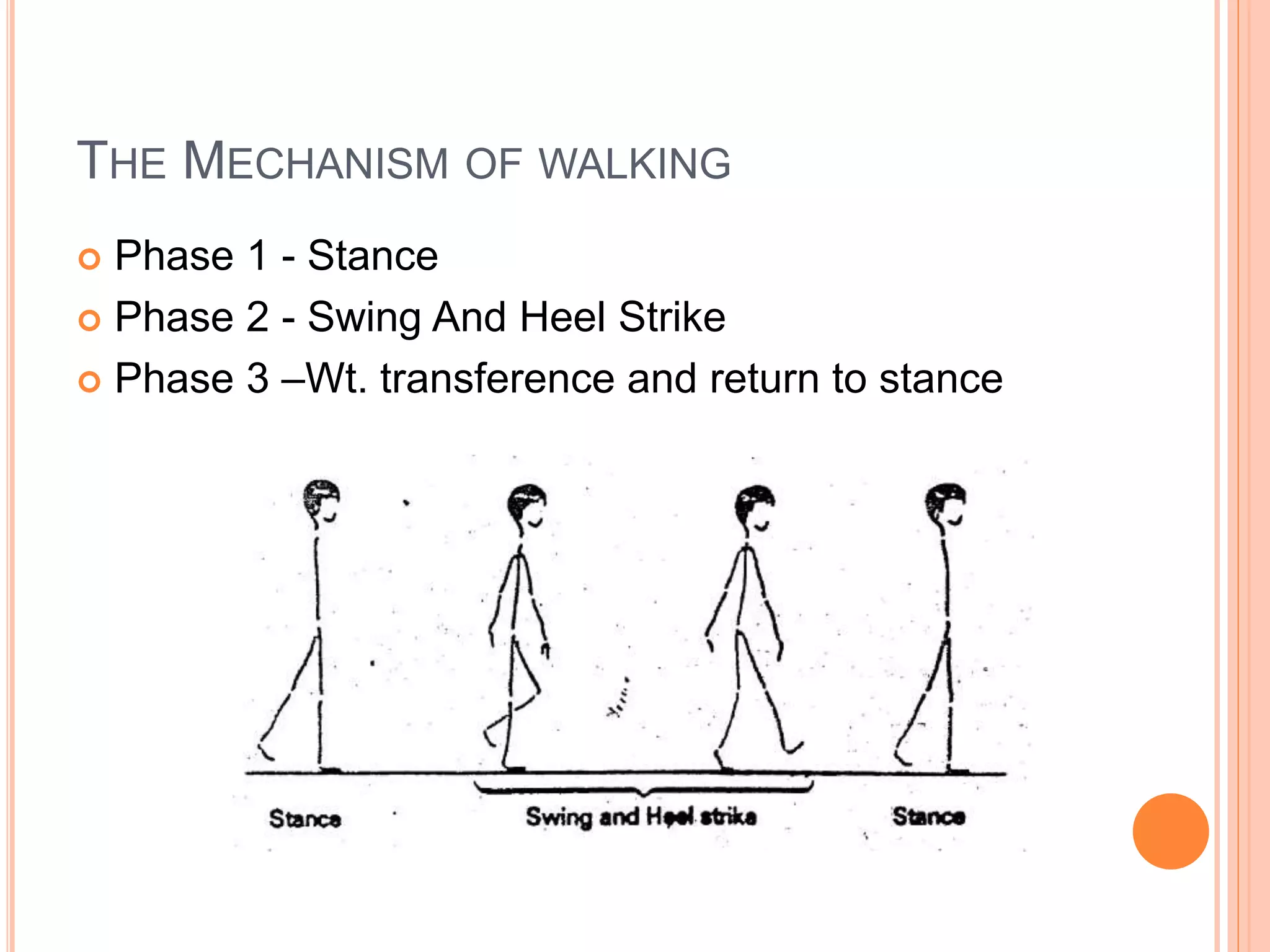 Functional re education | PPTX