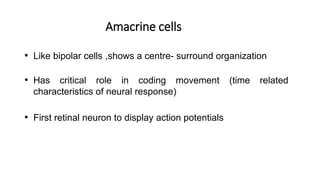 Functional retinal physiology - Archana.pptx