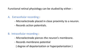Functional retinal physiology - Archana.pptx
