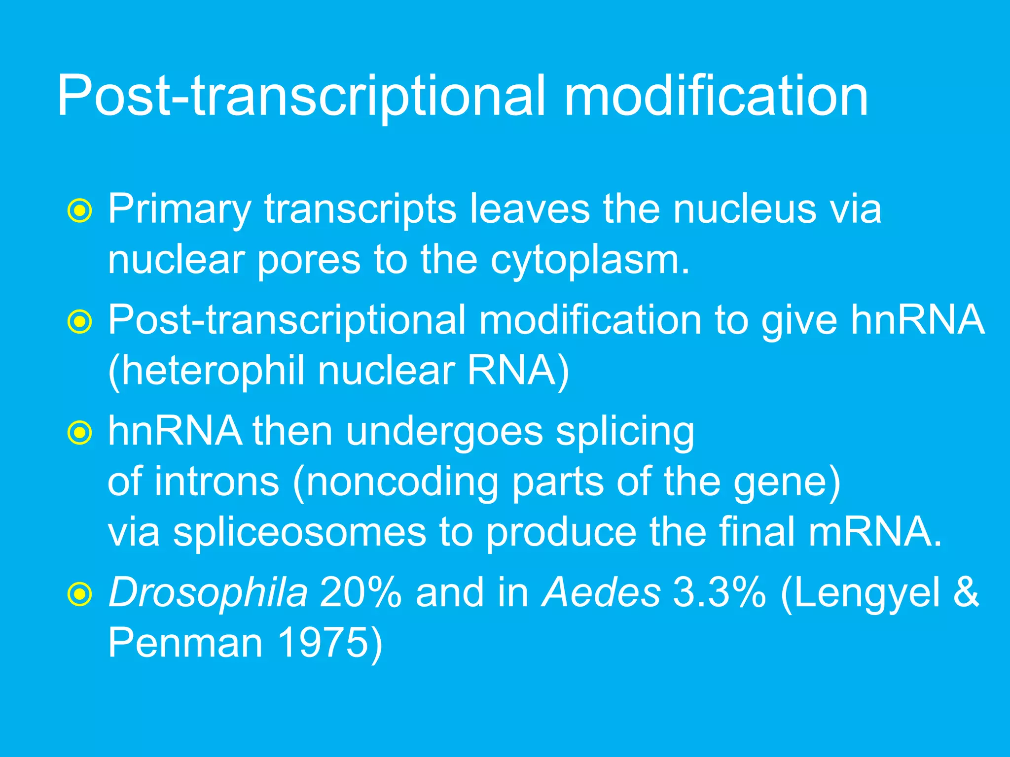 Functional role and activation of protein synthesis in insects | PPTX
