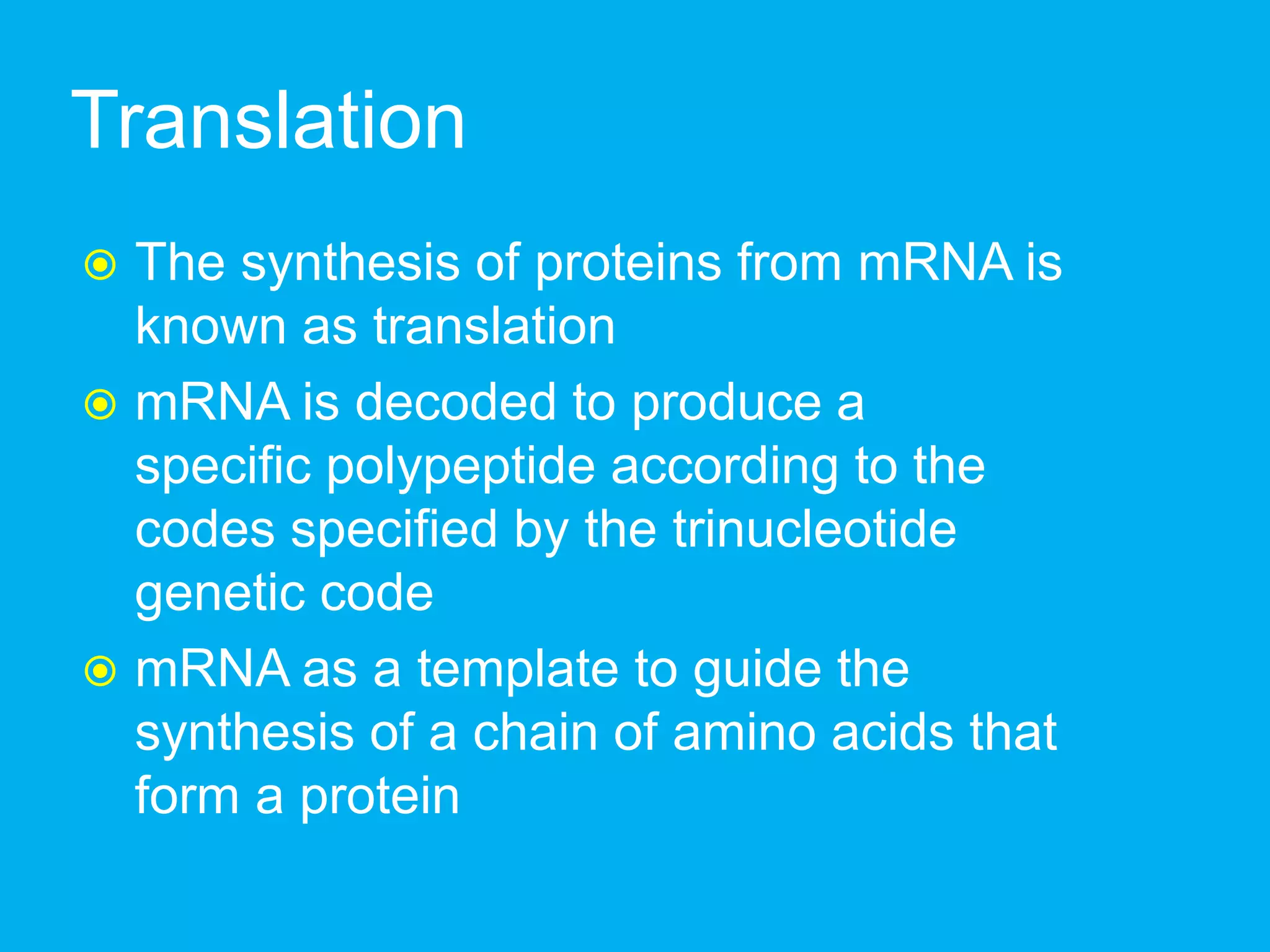 Functional role and activation of protein synthesis in insects | PPTX
