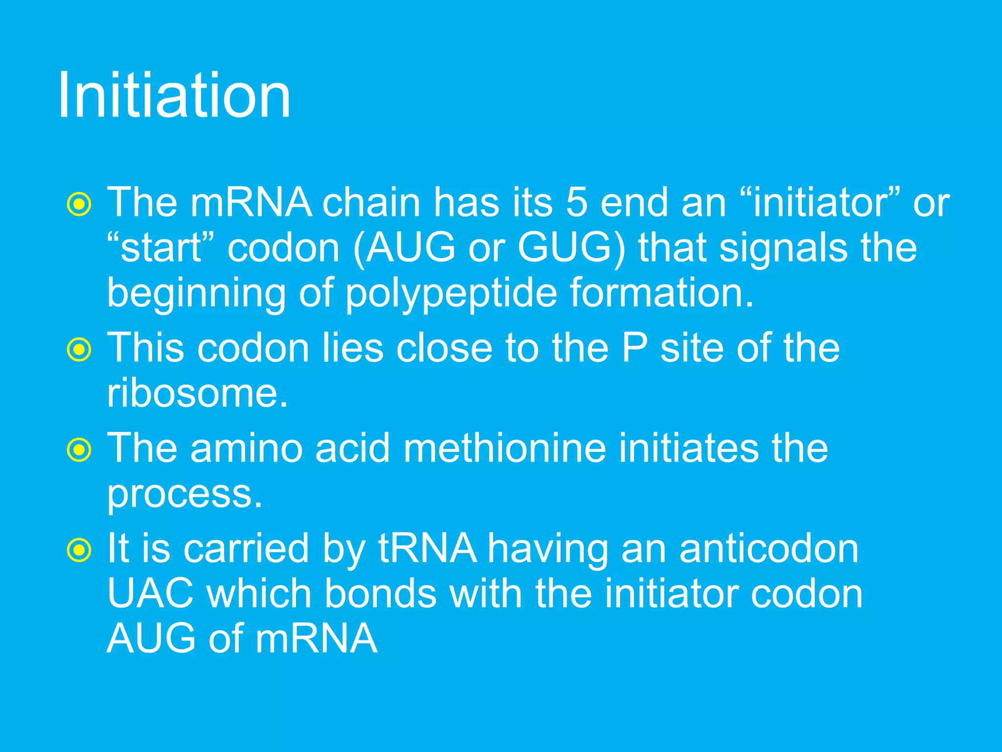 Functional role and activation of protein synthesis in insects | PPTX