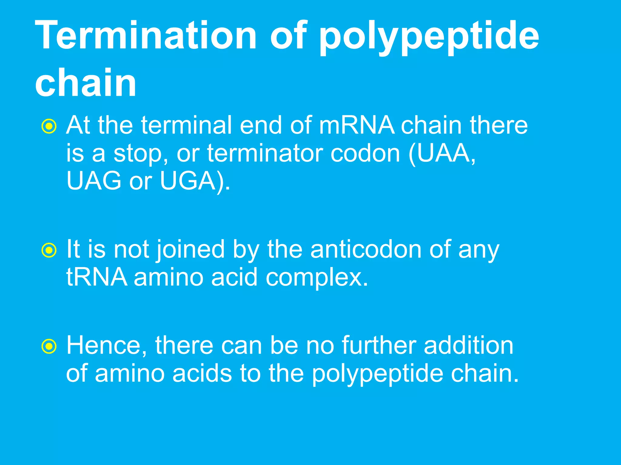 Functional role and activation of protein synthesis in insects | PPTX