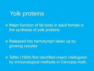 Functional role and activation of protein synthesis in insects | PPTX