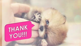 Short Functional Text (with examples) | PPTX