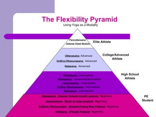 Functional training pyramids | PPT