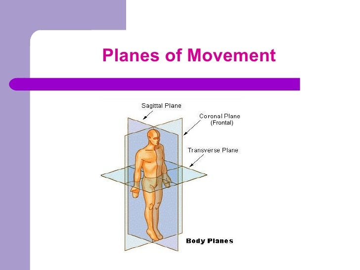 Functional training pyramids