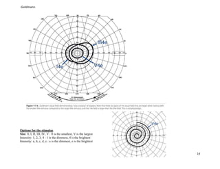Functional vision loss table 2 | DOCX