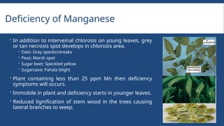 Function and deficiency symptoms of micronutrients.pptx