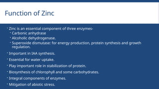 Function and deficiency symptoms of micronutrients.pptx