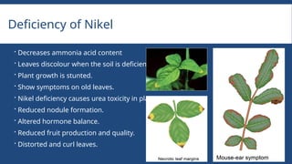 Function and deficiency symptoms of micronutrients.pptx