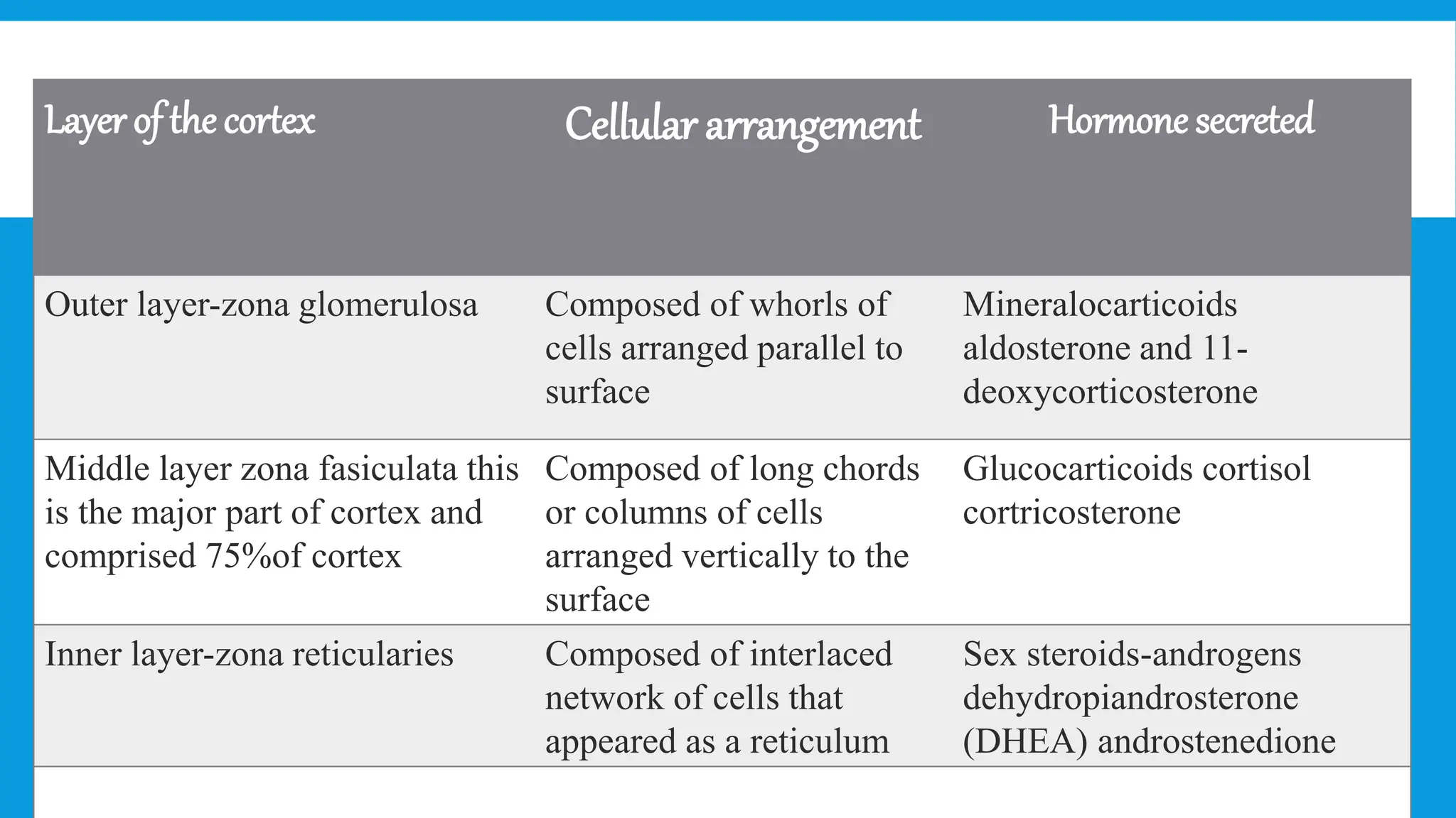 Function and hormones of adrenal gland.pptx