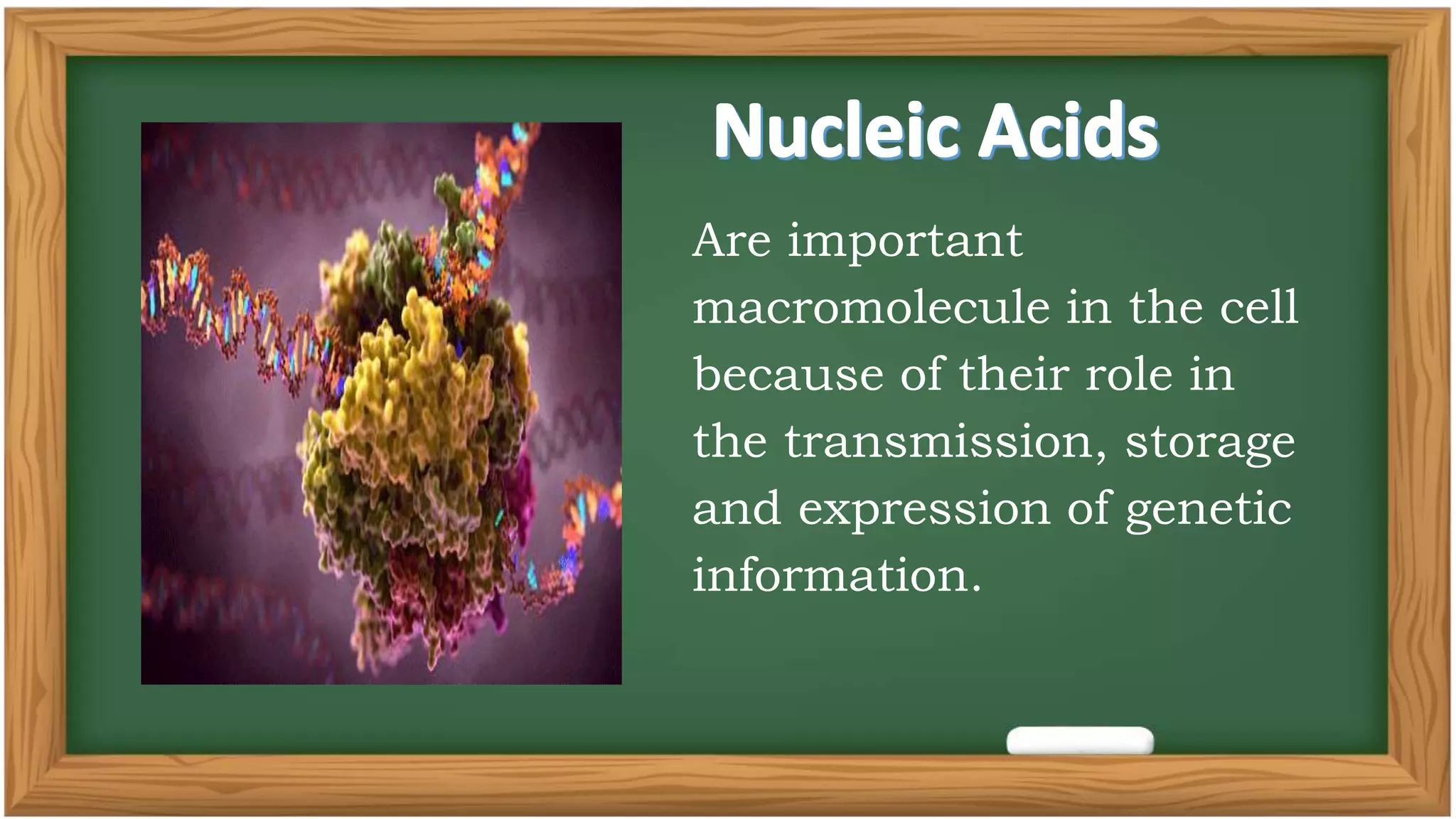 FUnction and Structure of DNA and RNA.pptx