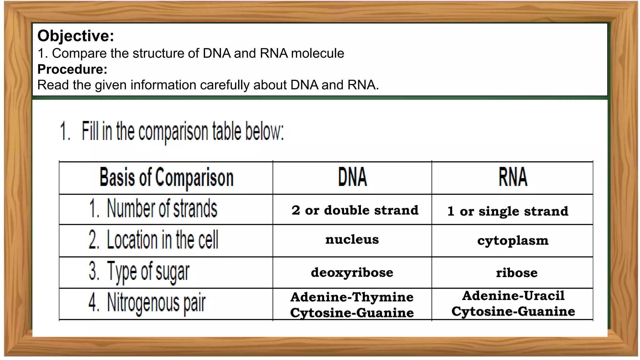 FUnction and Structure of DNA and RNA.pptx