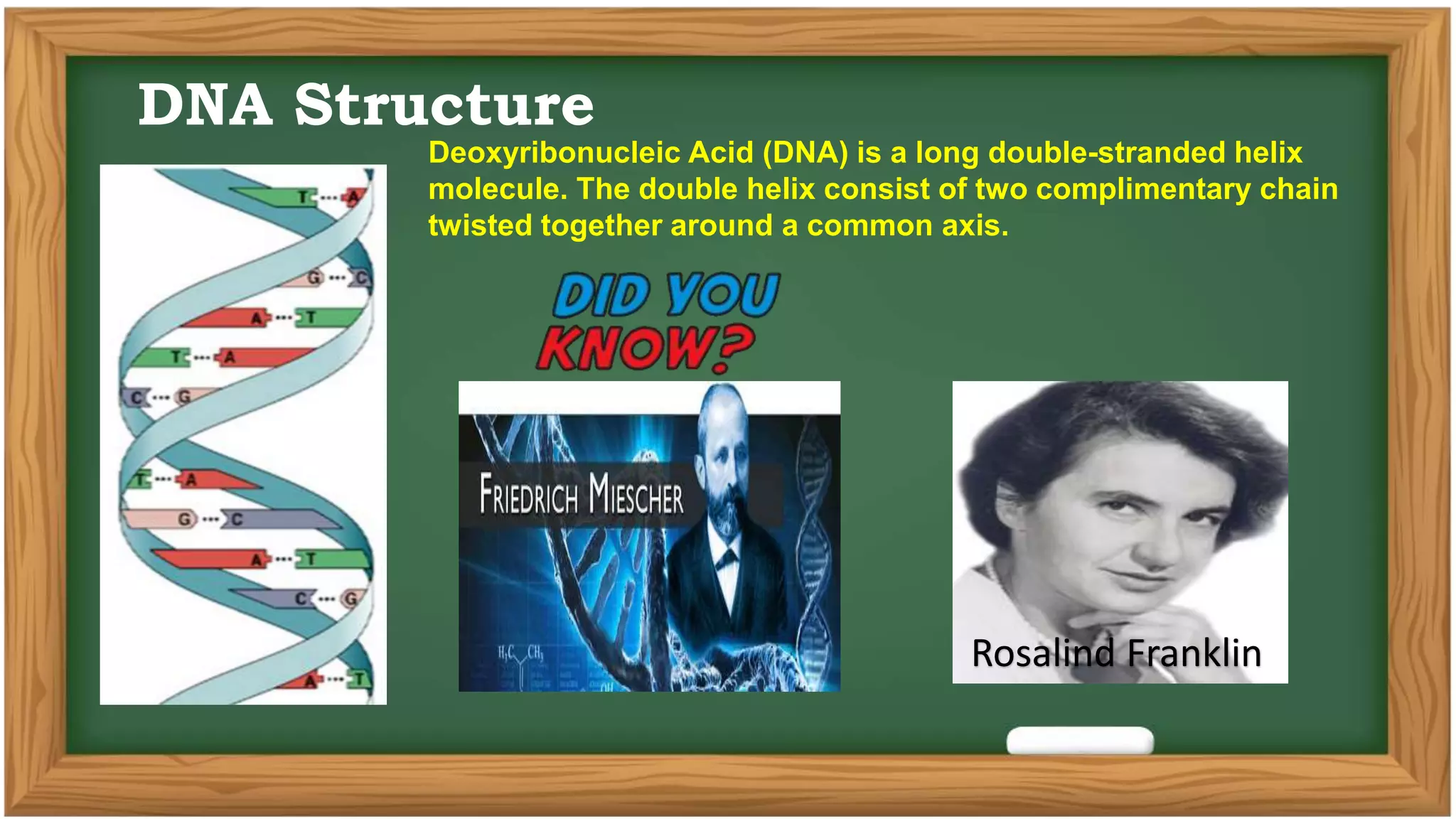 FUnction and Structure of DNA and RNA.pptx