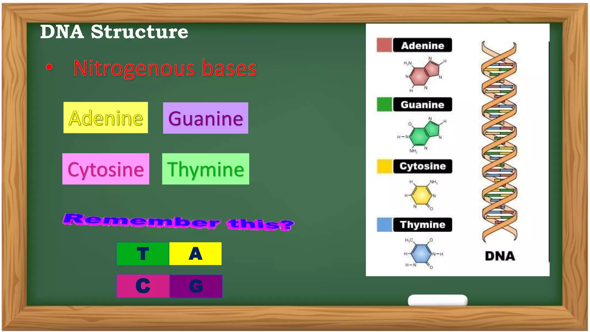 FUnction and Structure of DNA and RNA.pptx