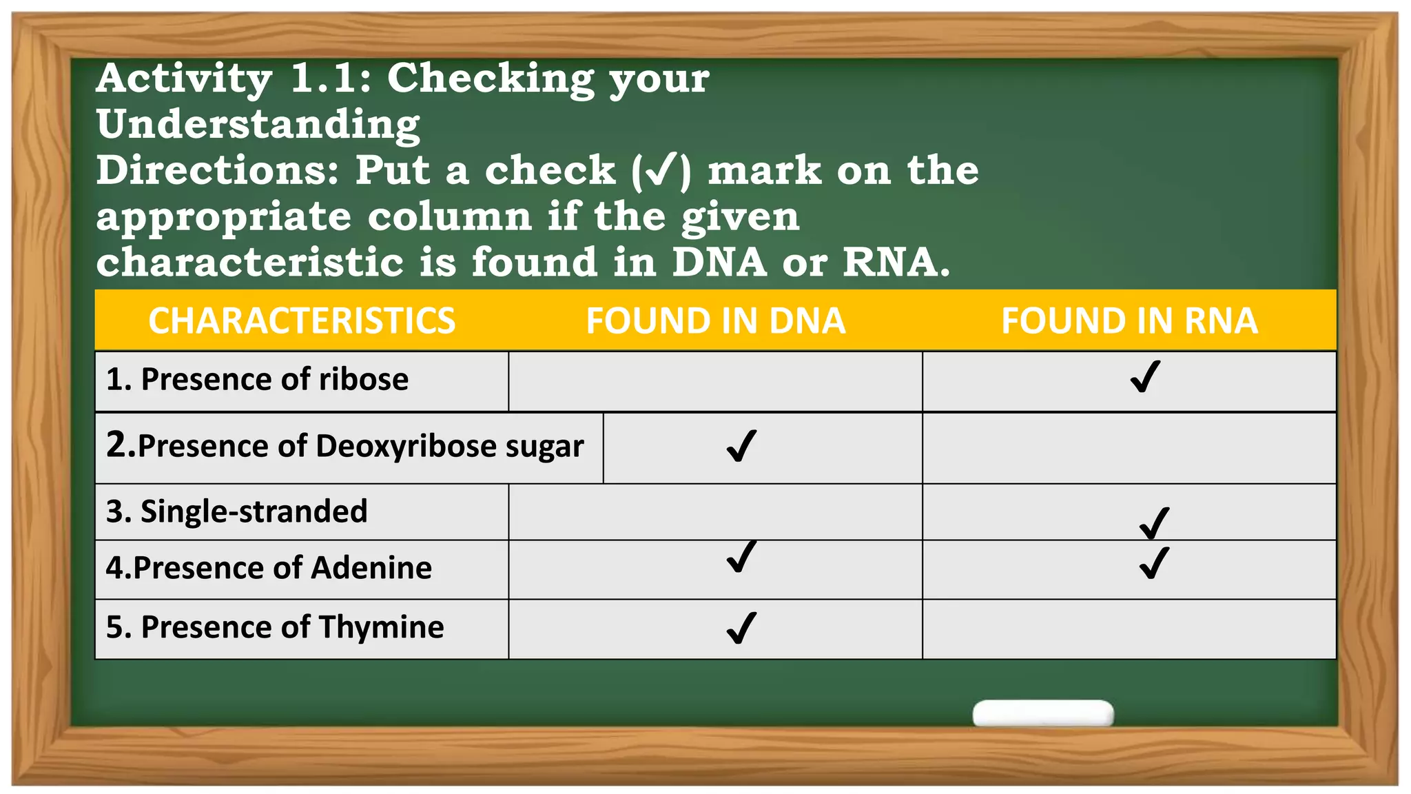 FUnction and Structure of DNA and RNA.pptx