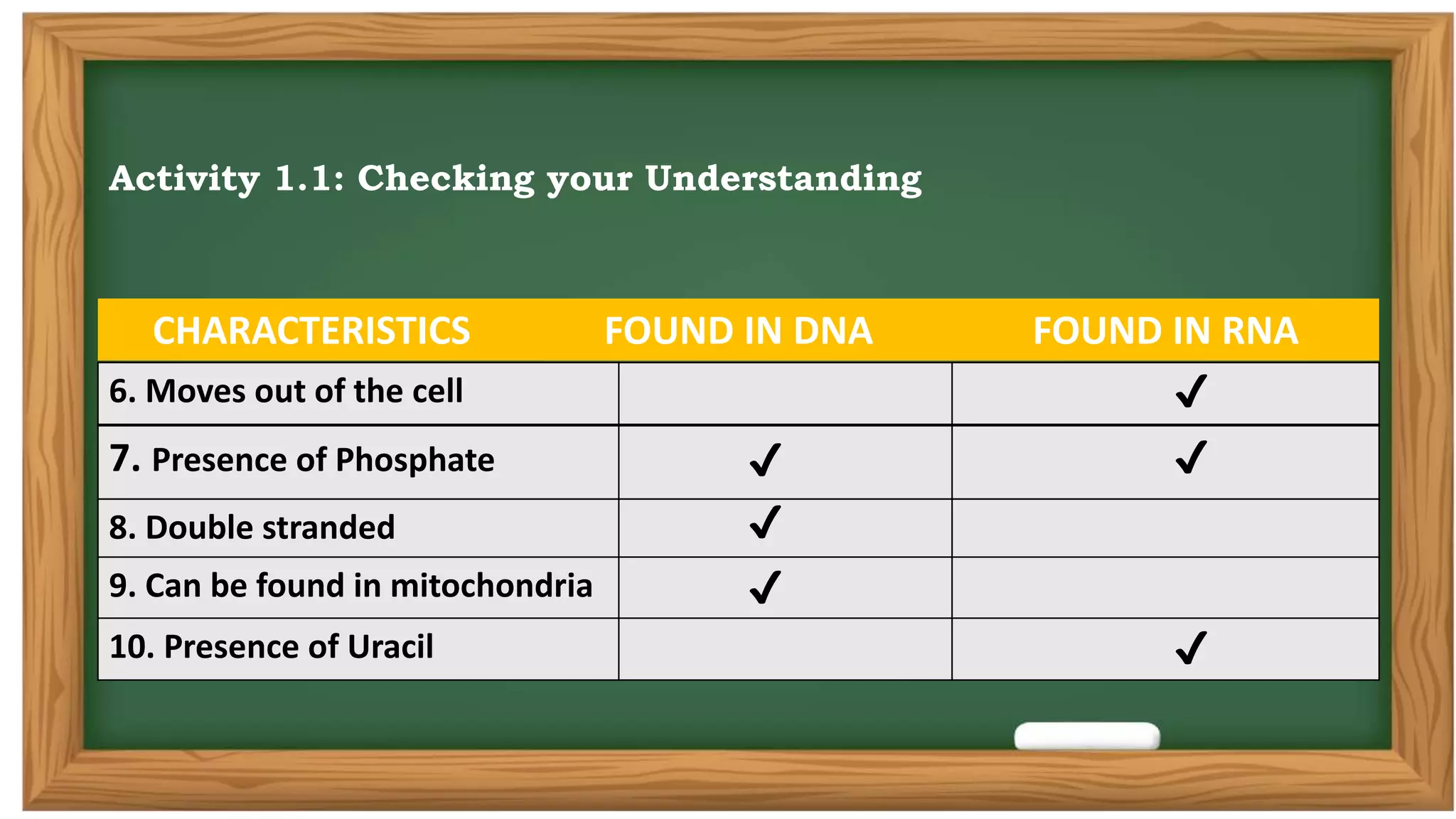 FUnction and Structure of DNA and RNA.pptx