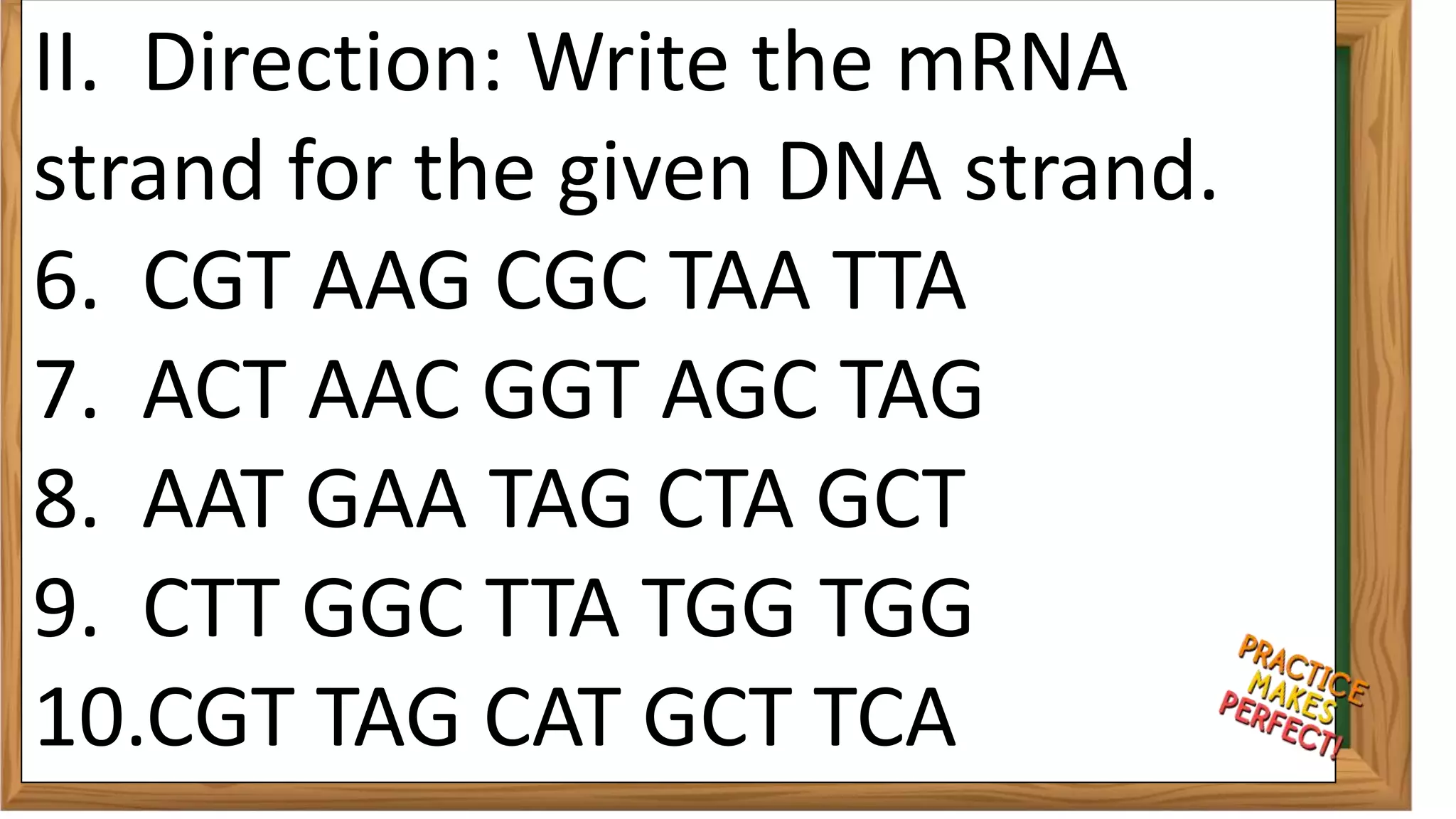 FUnction and Structure of DNA and RNA.pptx