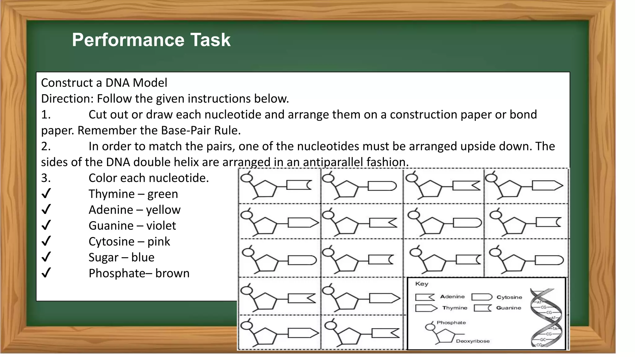FUnction and Structure of DNA and RNA.pptx