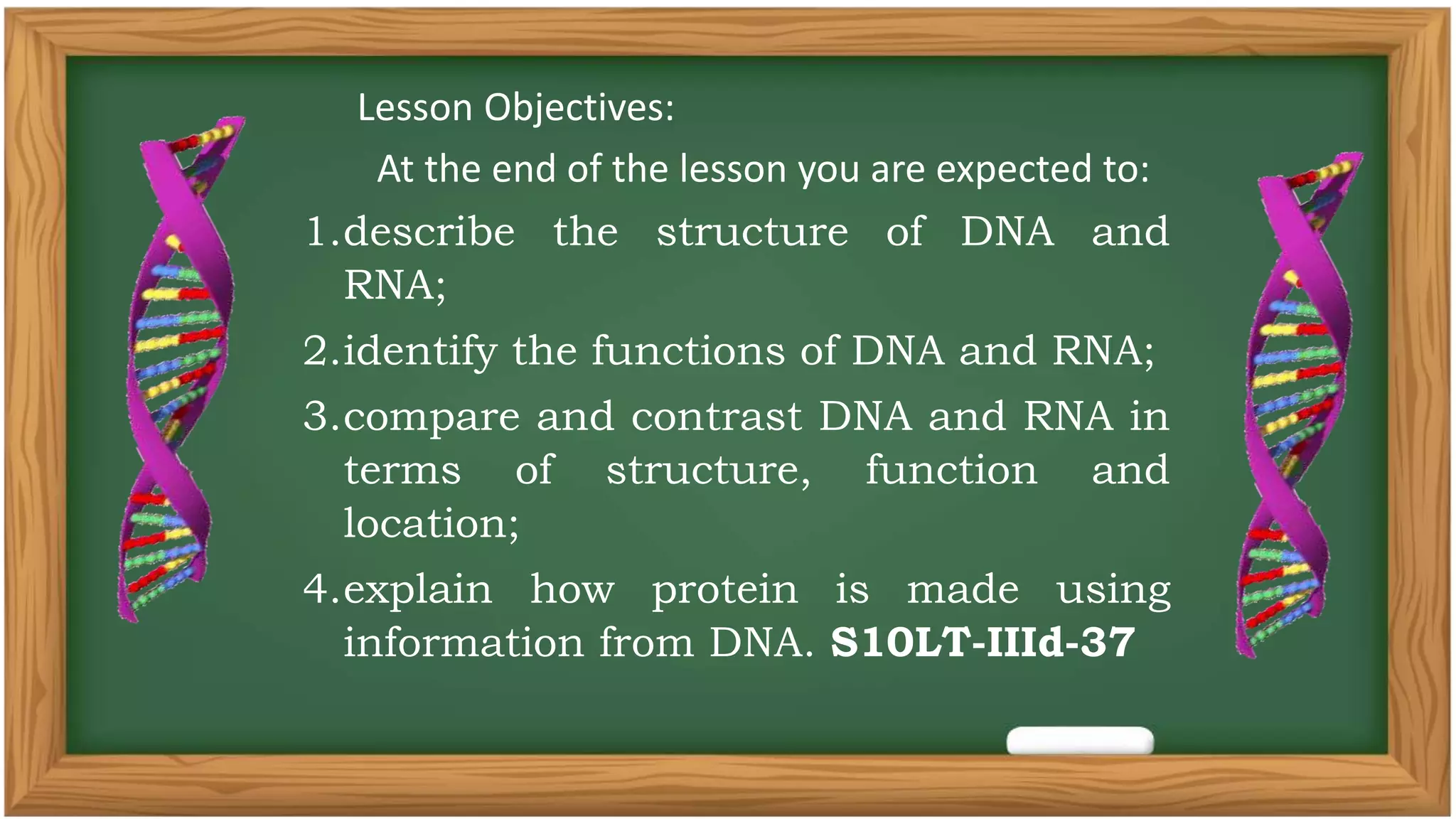 FUnction and Structure of DNA and RNA.pptx