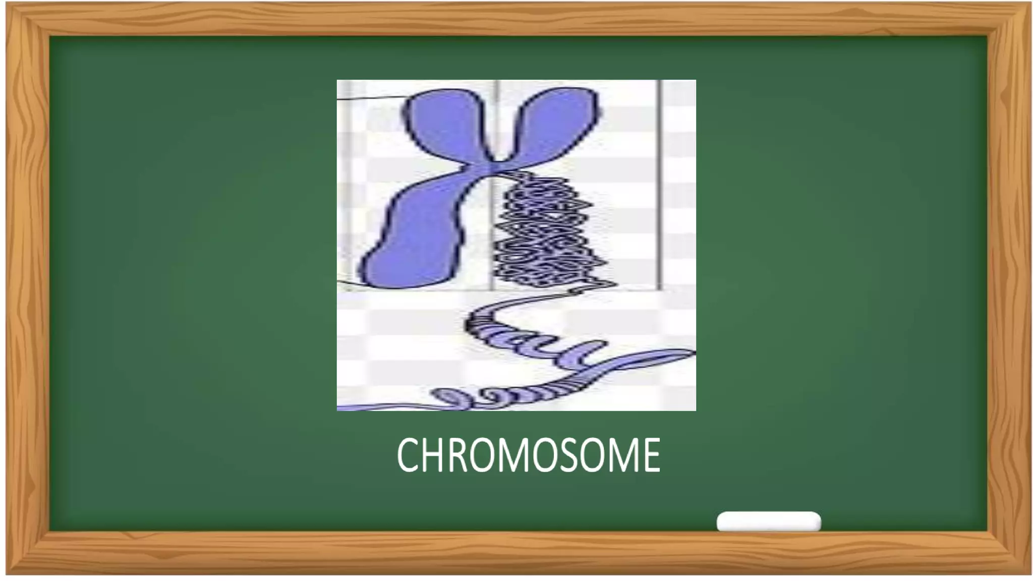 FUnction and Structure of DNA and RNA.pptx