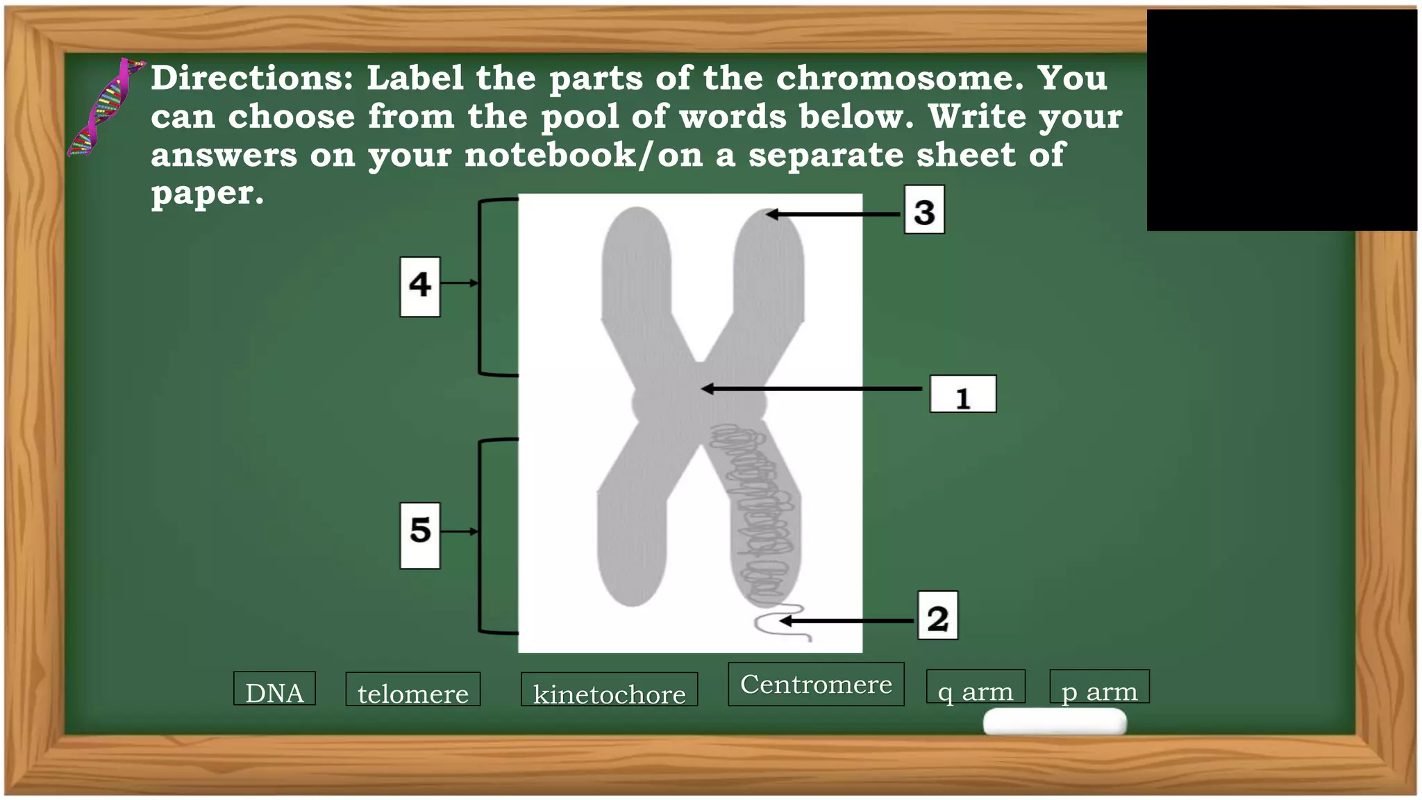 FUnction and Structure of DNA and RNA.pptx