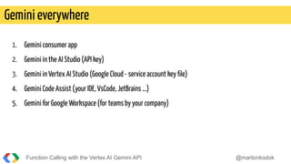 Function Calling with the Vertex AI Gemini API | PDF