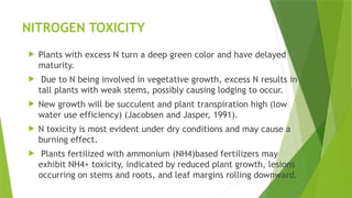 function deficiency and toxicity symptoms of nitrogen in plants.pptx
