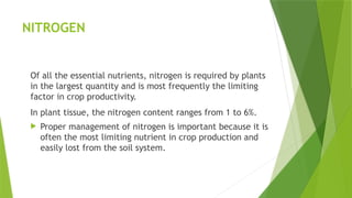 function deficiency and toxicity symptoms of nitrogen in plants.pptx