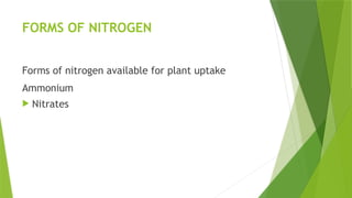 function deficiency and toxicity symptoms of nitrogen in plants.pptx