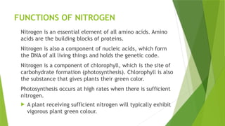 function deficiency and toxicity symptoms of nitrogen in plants.pptx