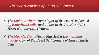 Functions of human heart | PPTX