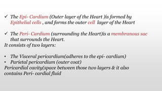 Functions of human heart | PPTX