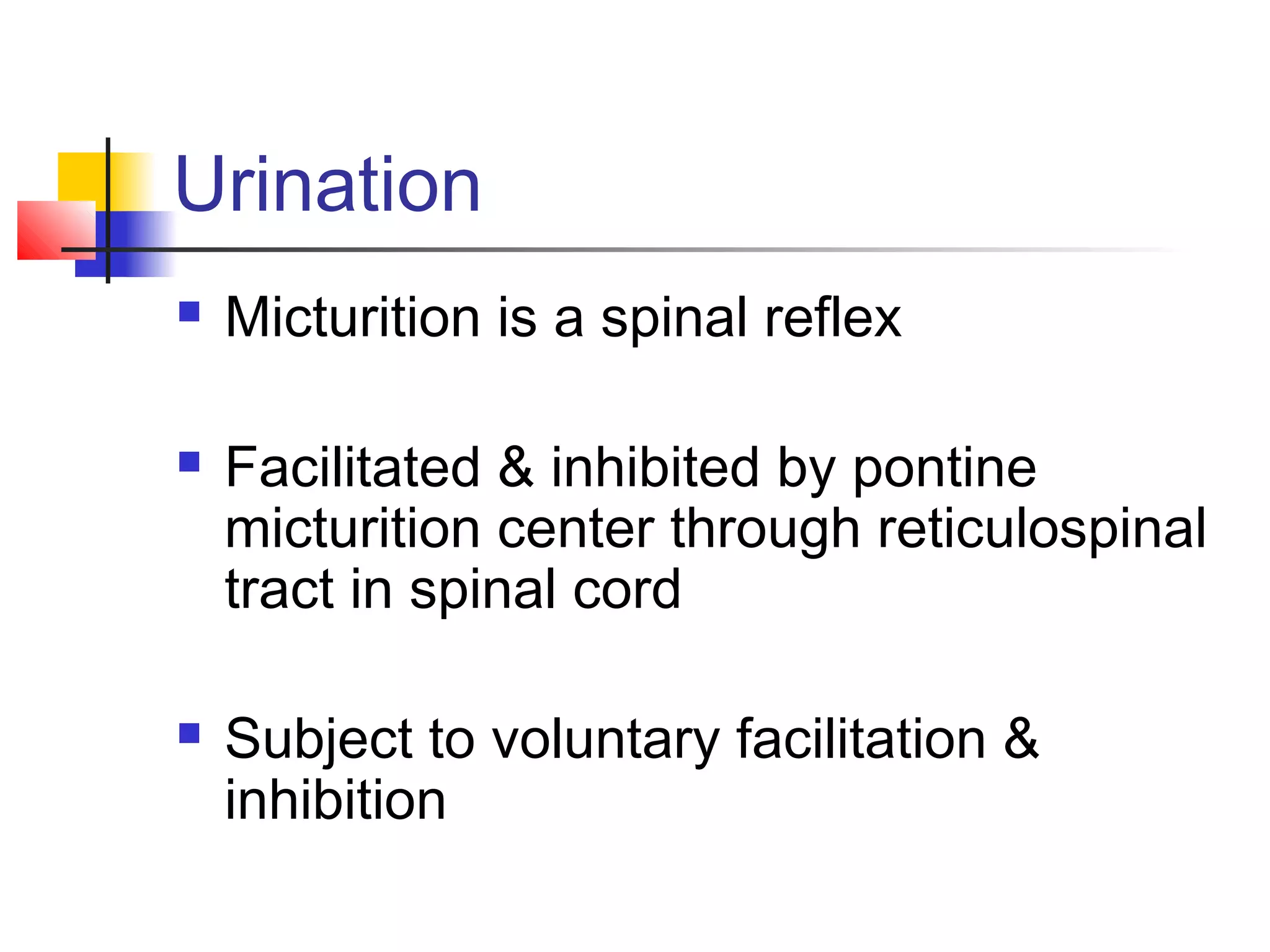 Functioning of urinary system | PPT