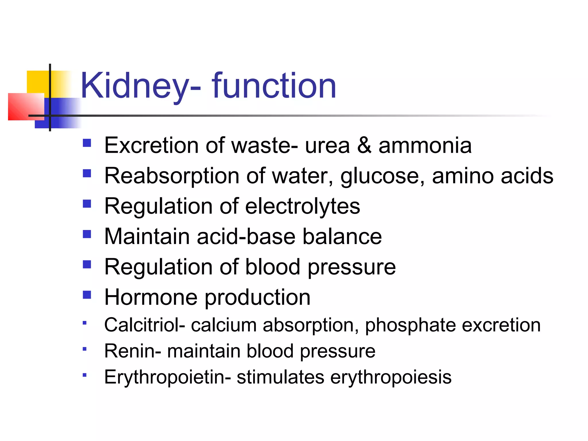 Functioning of urinary system | PPT