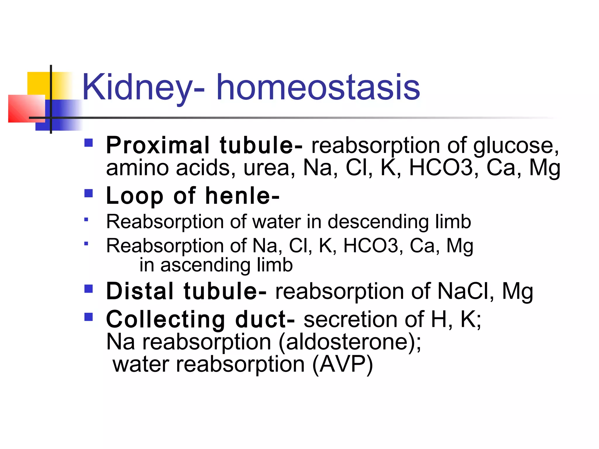 Functioning of urinary system | PPT