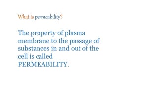 Function of cell membrane and permeability | PPTX