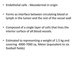 Function of endothelium in health and disease | PPTX