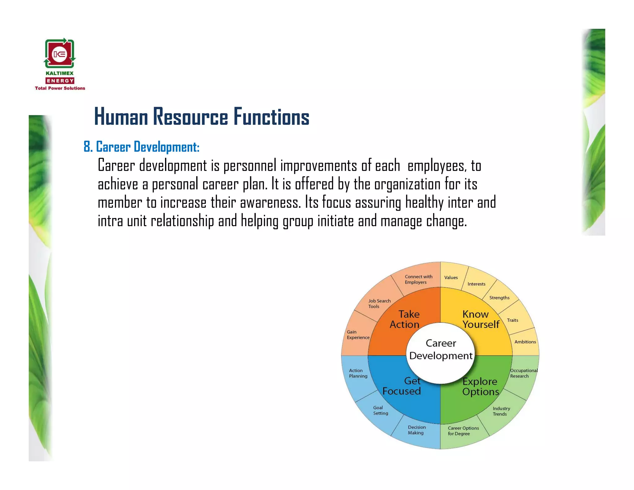 Function of Human Resource Management | PDF | Human Resources | Business