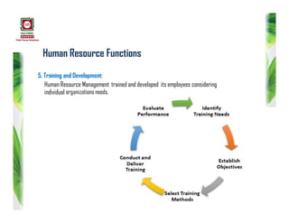 Function of Human Resource Management | PDF | Human Resources | Business