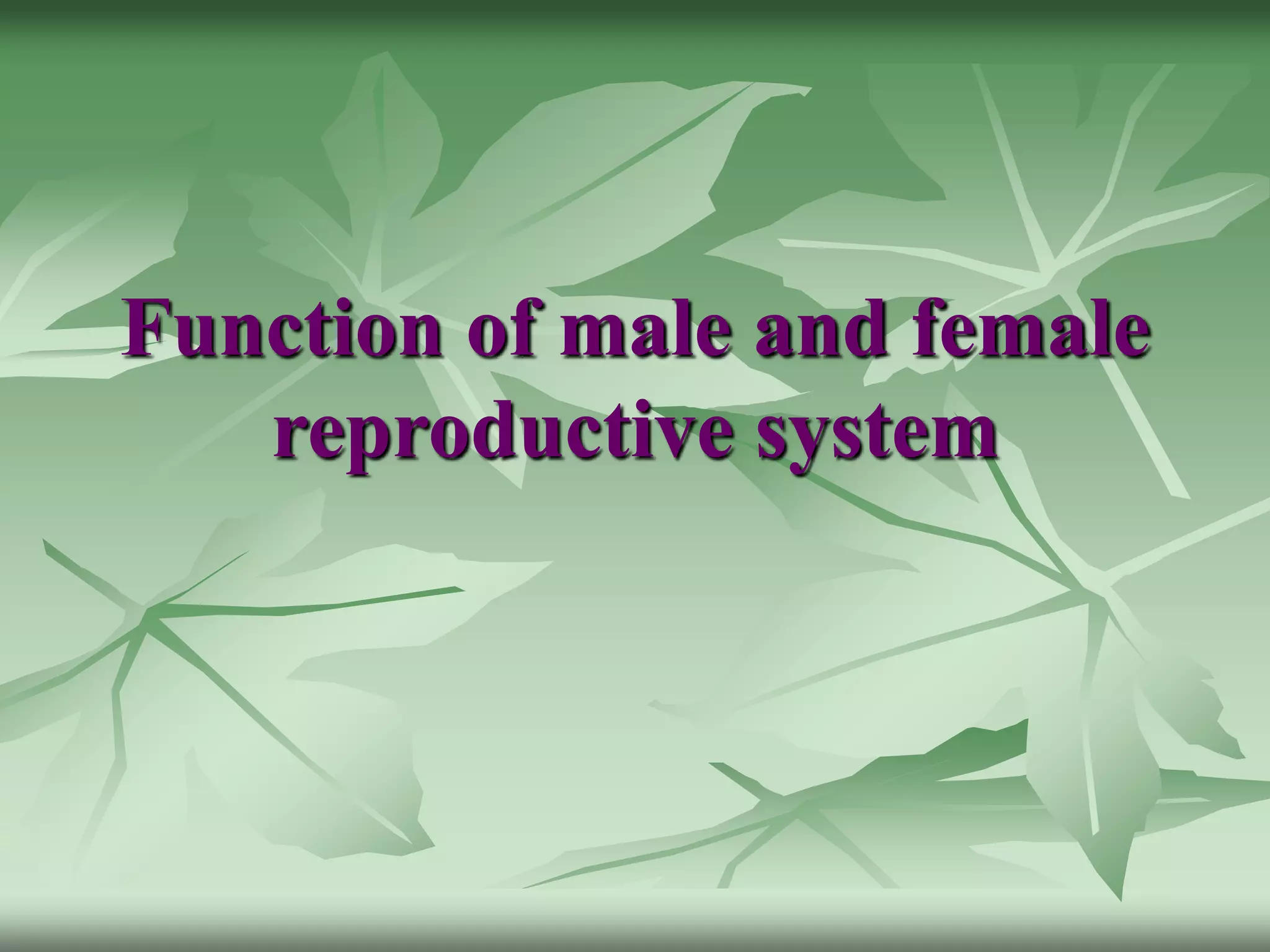 Function of male and female reproductive system.ppt