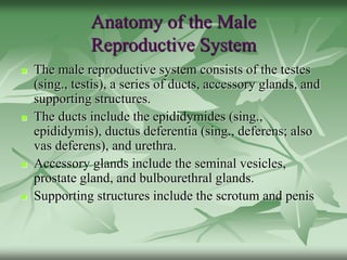 Function of male and female reproductive system.ppt