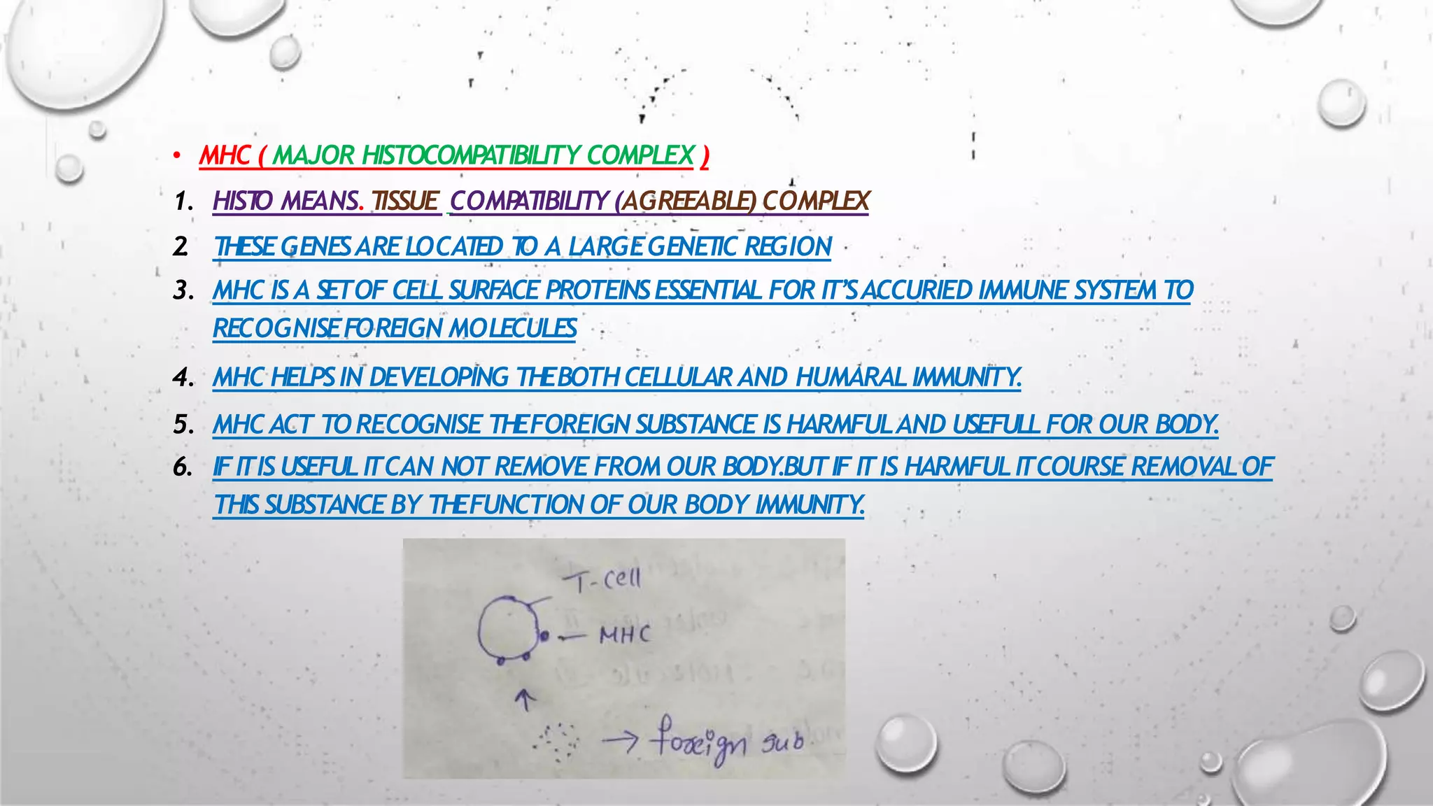 function of MHC.pptx