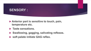 FUNCTION OF ORAL MUCOSA BY KHALID.pptx | Dental Health | Diseases and ...