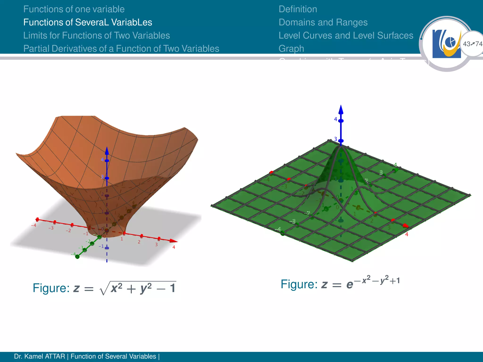 Function of several variables | PDF