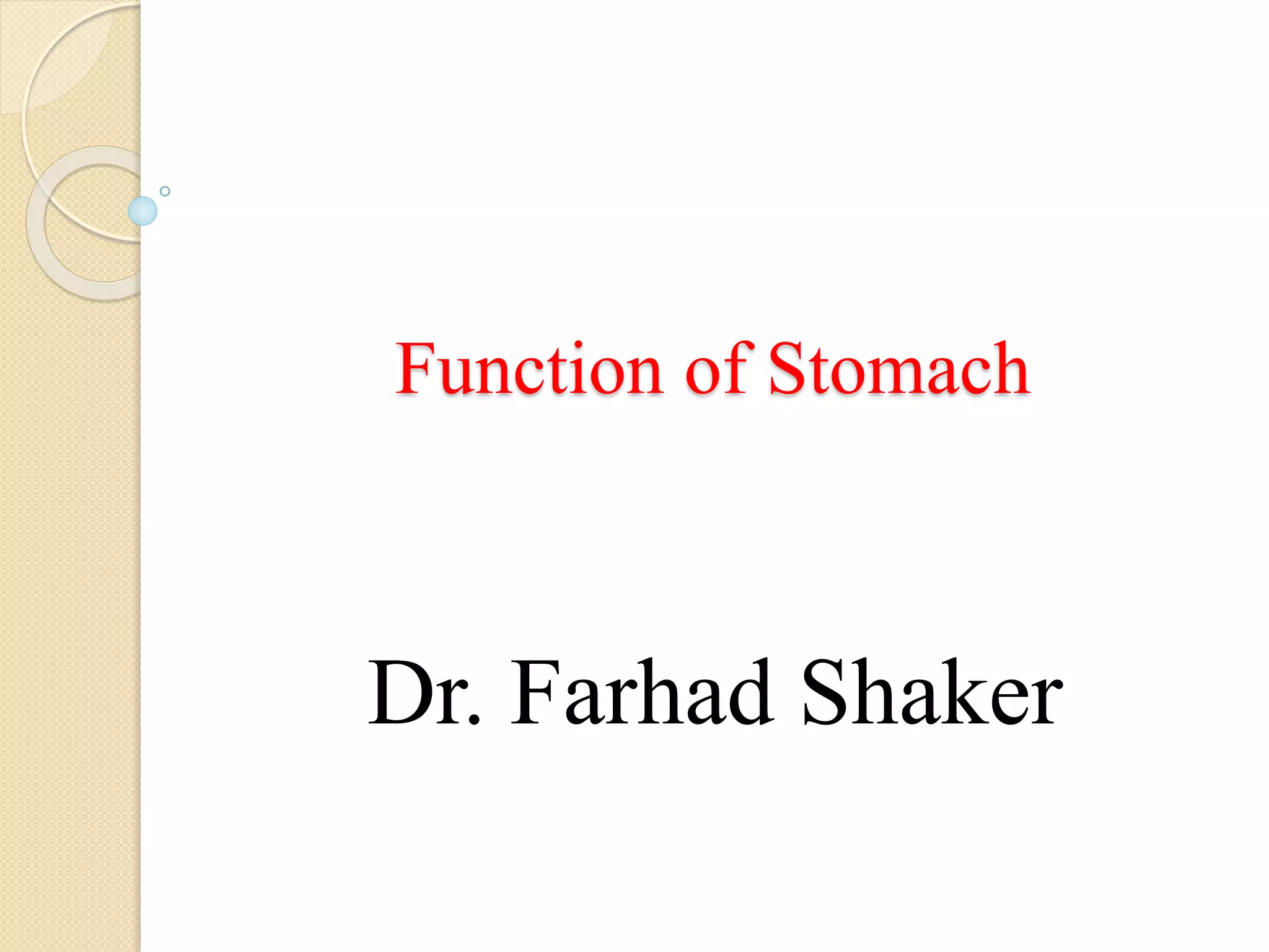 Functions of the Stomach Explained | PPT