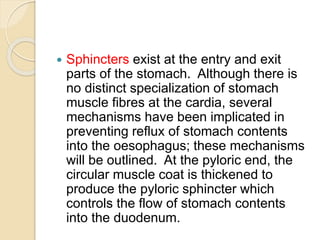 Function of stomach | PPTX