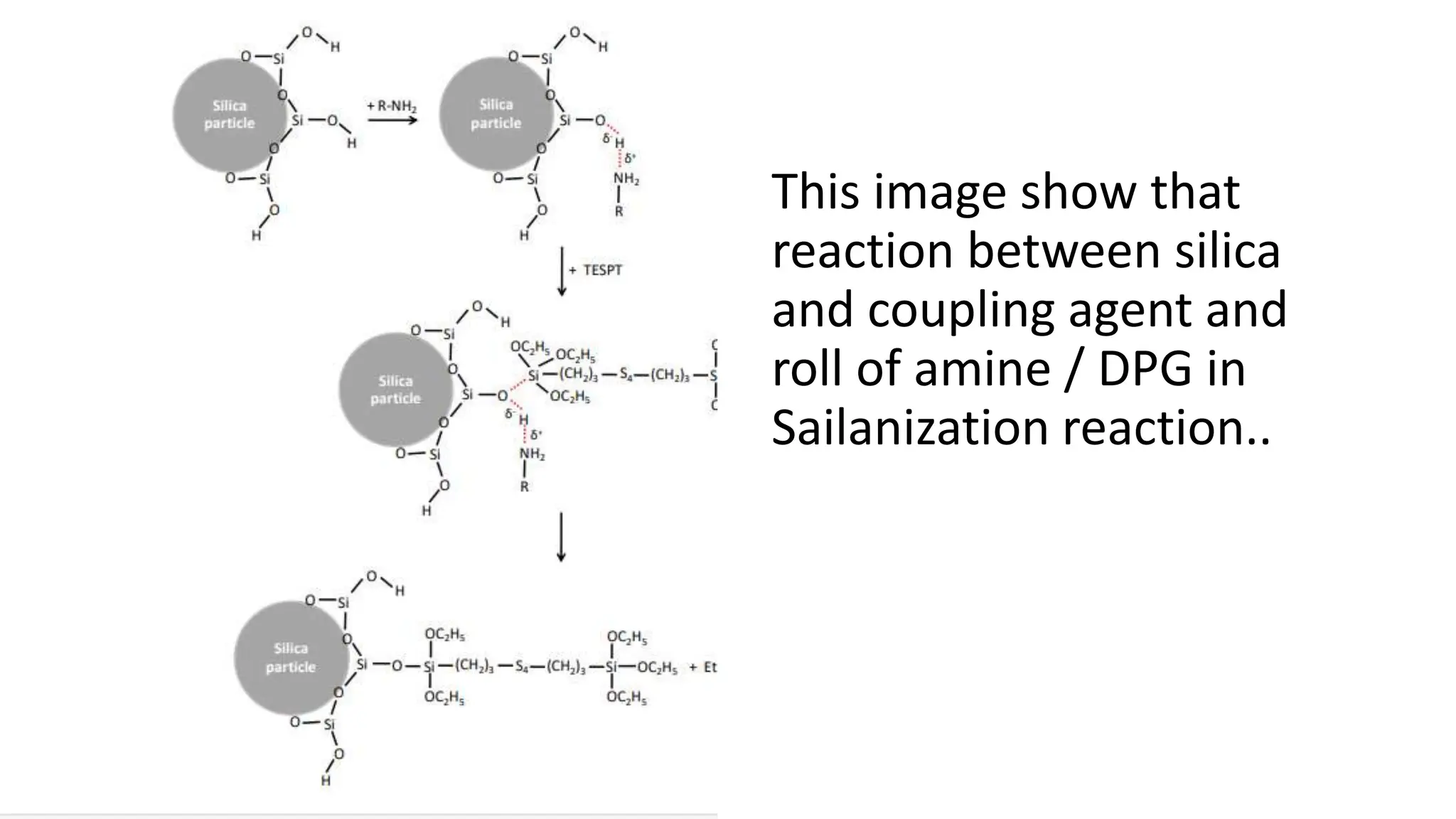 Function of the DPG for the silanization reaction.pptx